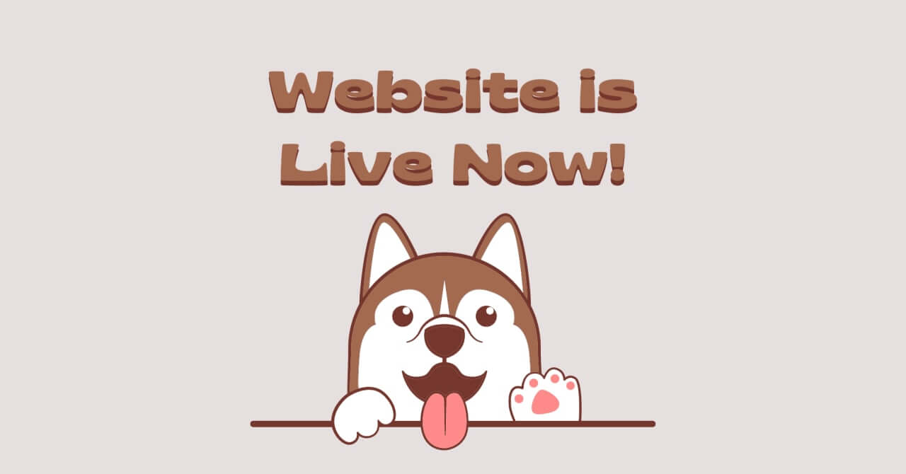 The Ultimate Secret of Successful New Website Launch